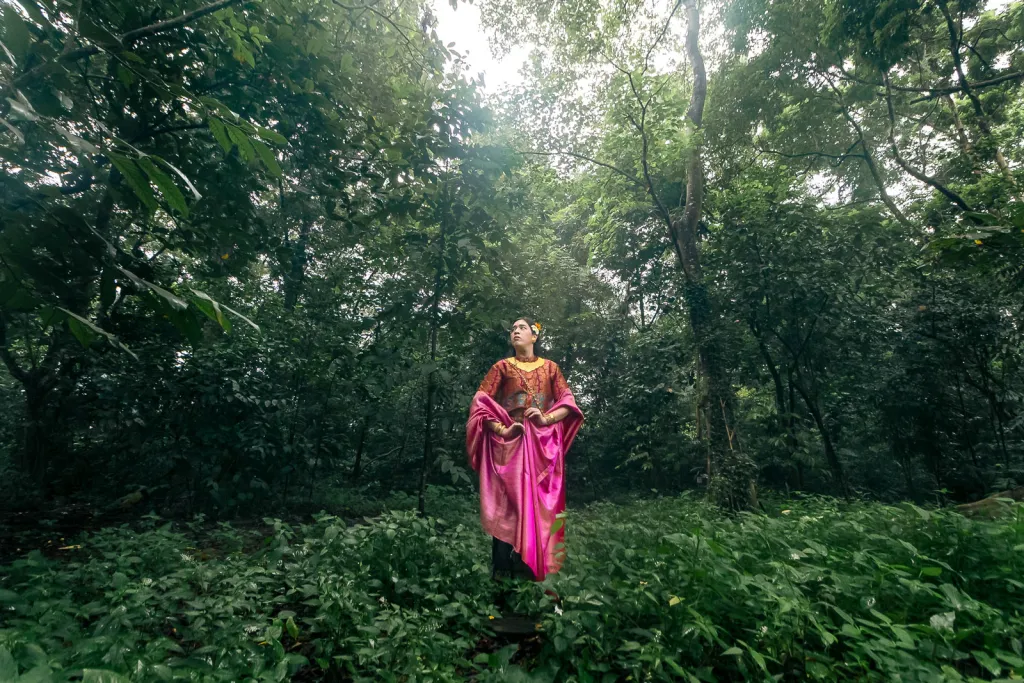 In the beginning, there was the forest | Where the Leaves Fall