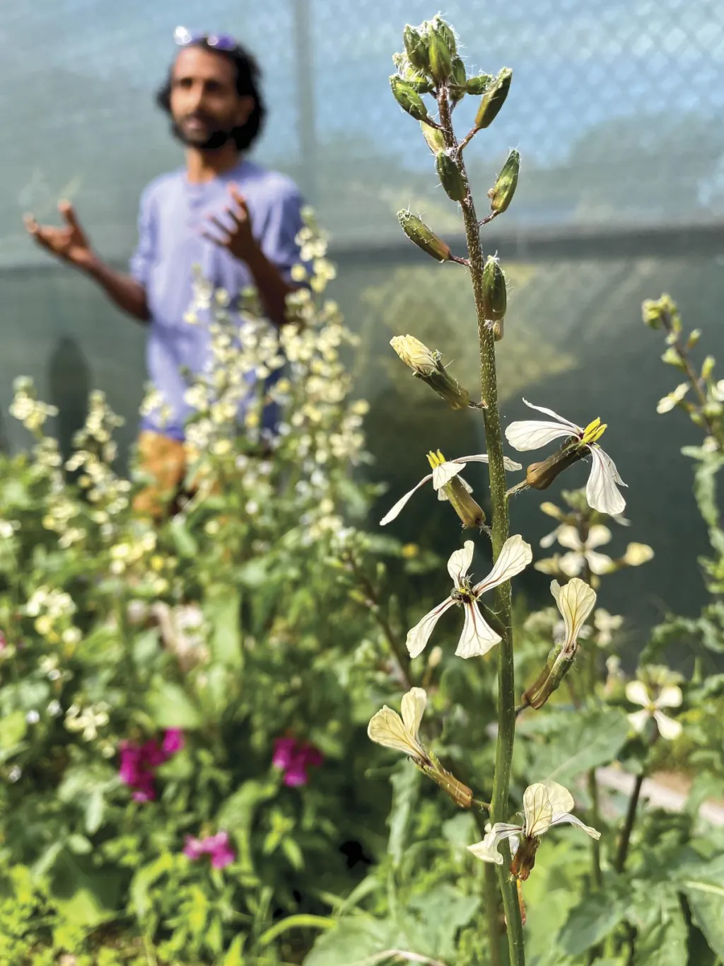 Radical Roots | Where the Leaves Fall