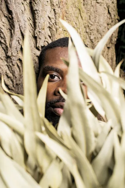 Will Hearle | Where the Leaves Fall