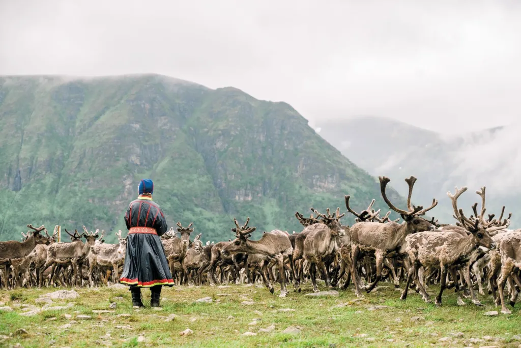 The Sámi Narrative | Where the Leaves Fall